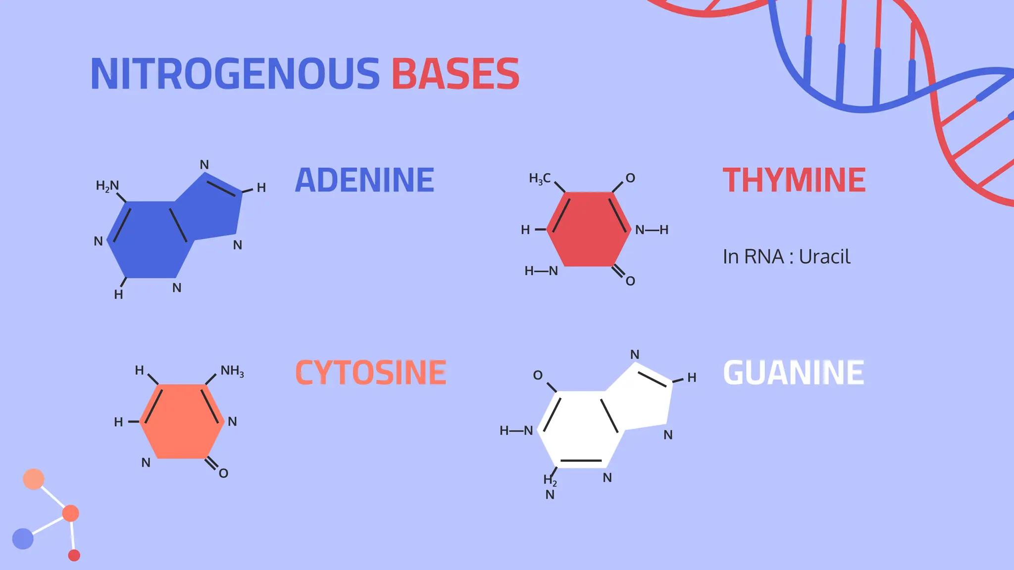 Nucleic Acid DNA and RNA for High School Students.pptx