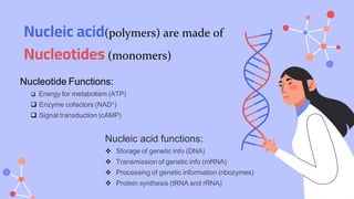 Nucleic Acid DNA and RNA for High School Students.pptx