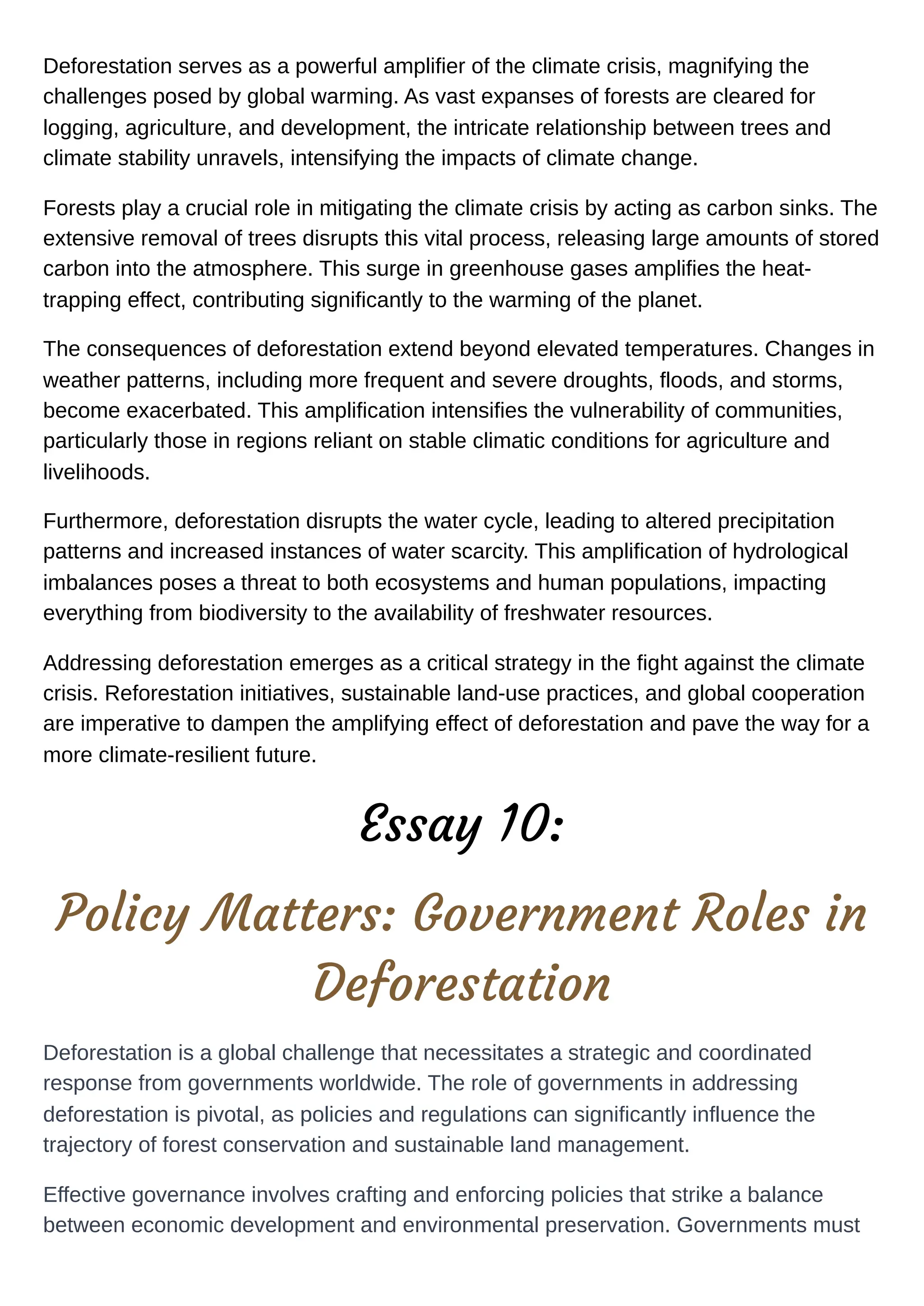 11 Best Deforestation Essays In 200 Words.pdf