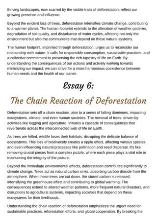 11 Best Deforestation Essays In 200 Words.pdf