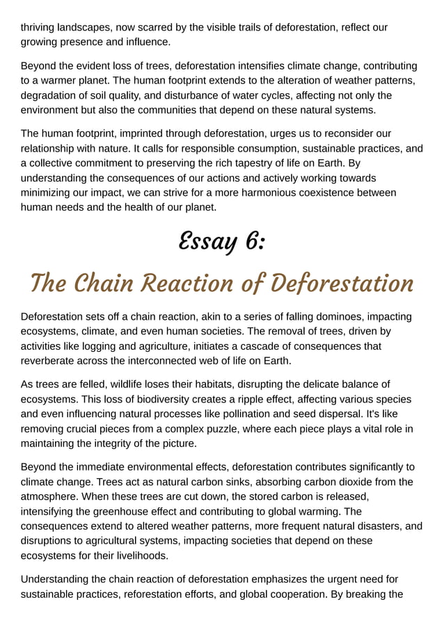 11 Best Deforestation Essays In 200 Words.pdf