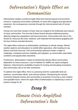 11 Best Deforestation Essays In 200 Words.pdf