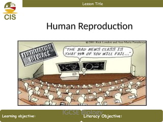Grade 11 human reproductive system IGCSE | PPTX