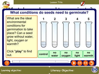 Grade 11 human reproductive system IGCSE | PPTX
