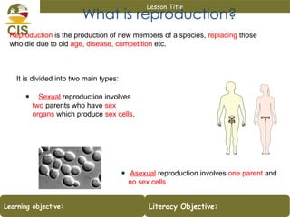Grade 11 human reproductive system IGCSE | PPTX