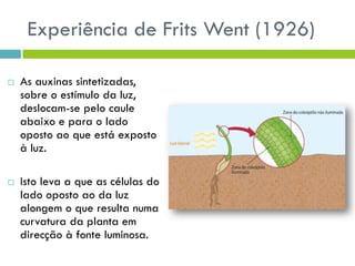 (11) biologia e geologia 10º ano - hormonas vegetais | PDF