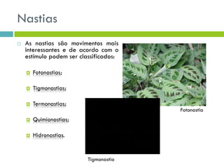 (11) biologia e geologia 10º ano - hormonas vegetais | PDF
