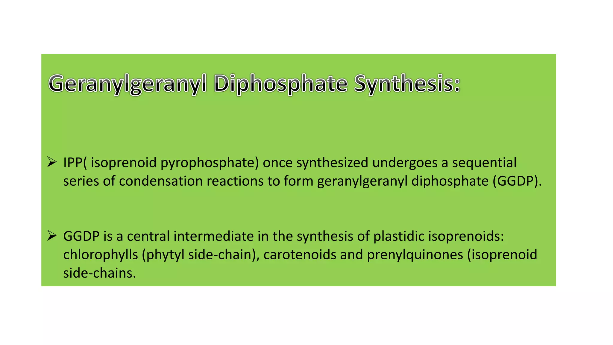 Biosynthesis and properties of cholorophyll | PPTX