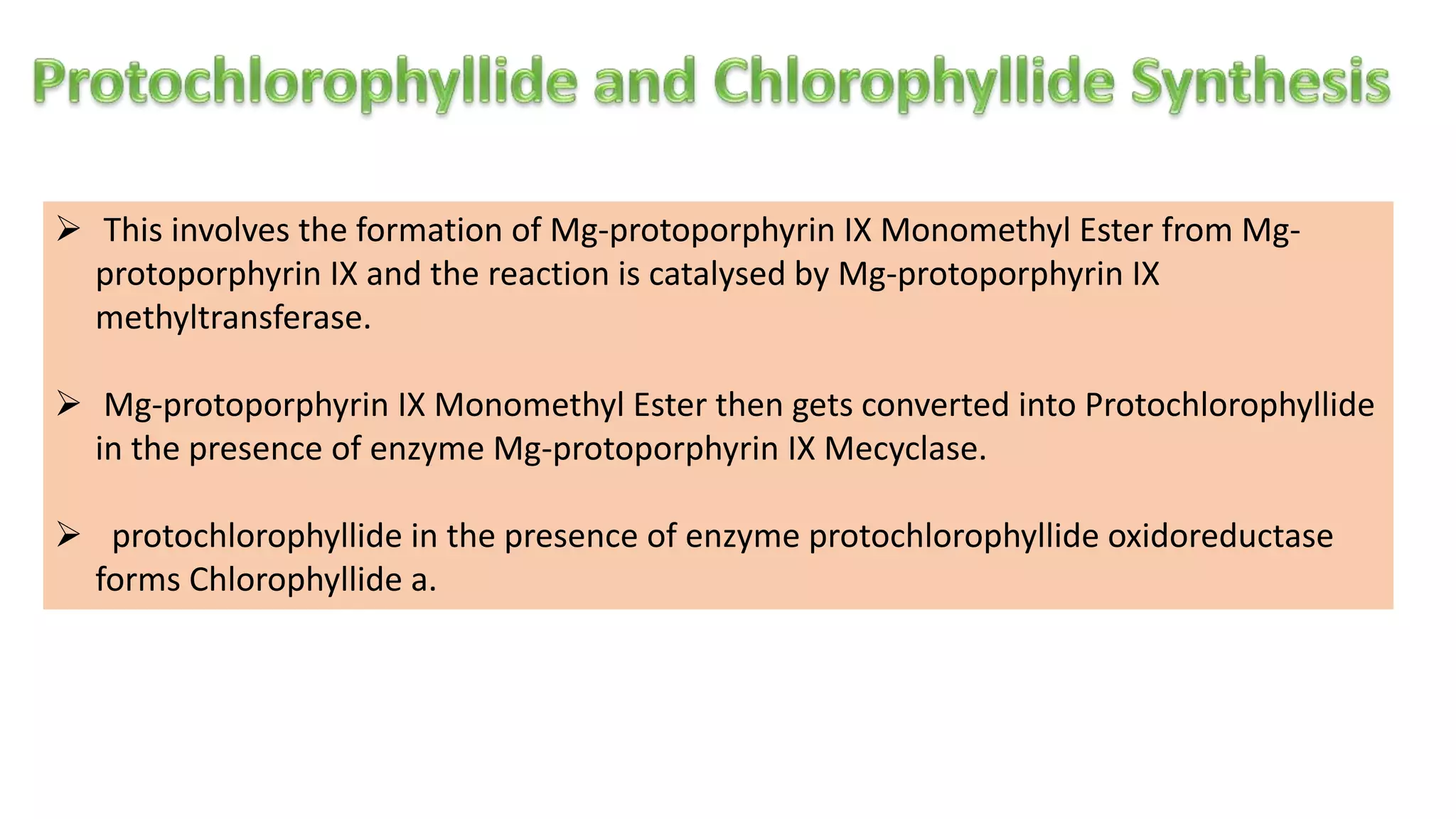 Biosynthesis and properties of cholorophyll | PPTX