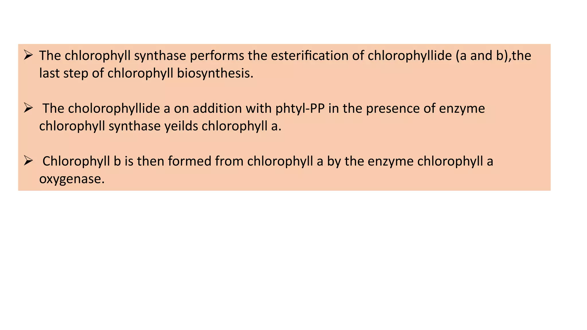 Biosynthesis and properties of cholorophyll | PPTX