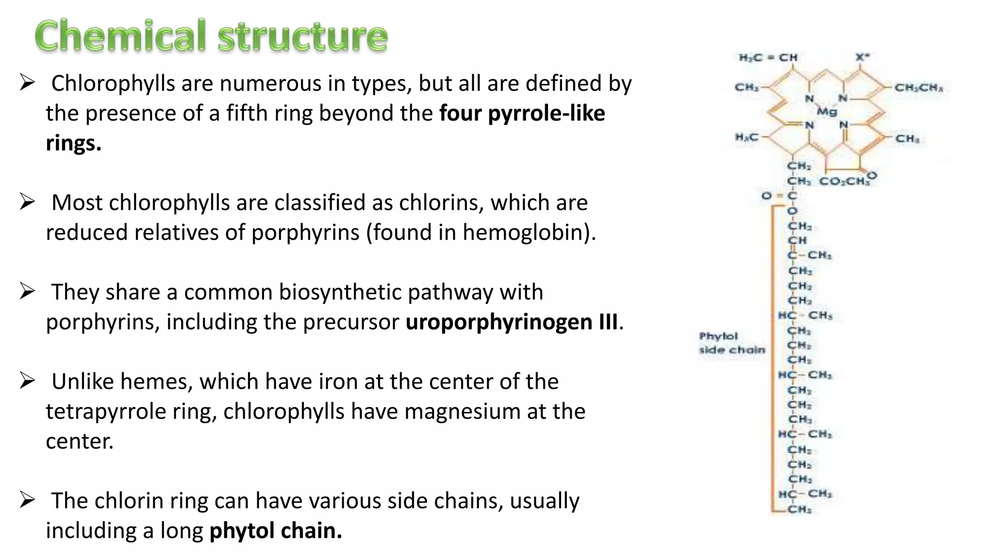 Biosynthesis and properties of cholorophyll | PPTX