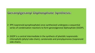 Biosynthesis and properties of cholorophyll | PPTX