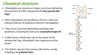Biosynthesis and properties of cholorophyll | PPTX