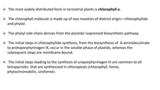 Biosynthesis and properties of cholorophyll | PPTX