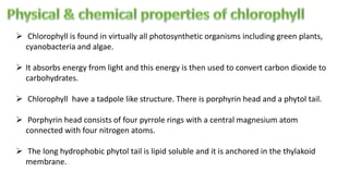 Biosynthesis and properties of cholorophyll | PPTX