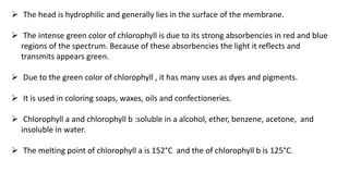 Biosynthesis and properties of cholorophyll | PPTX