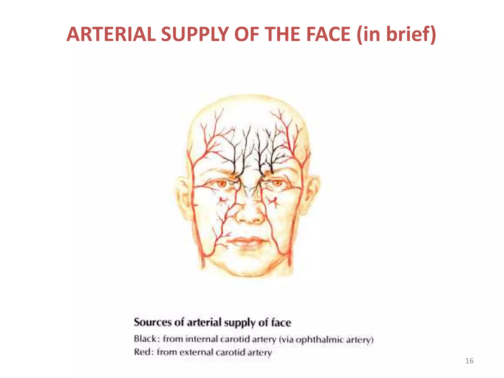 Blood supply of face | PPTX