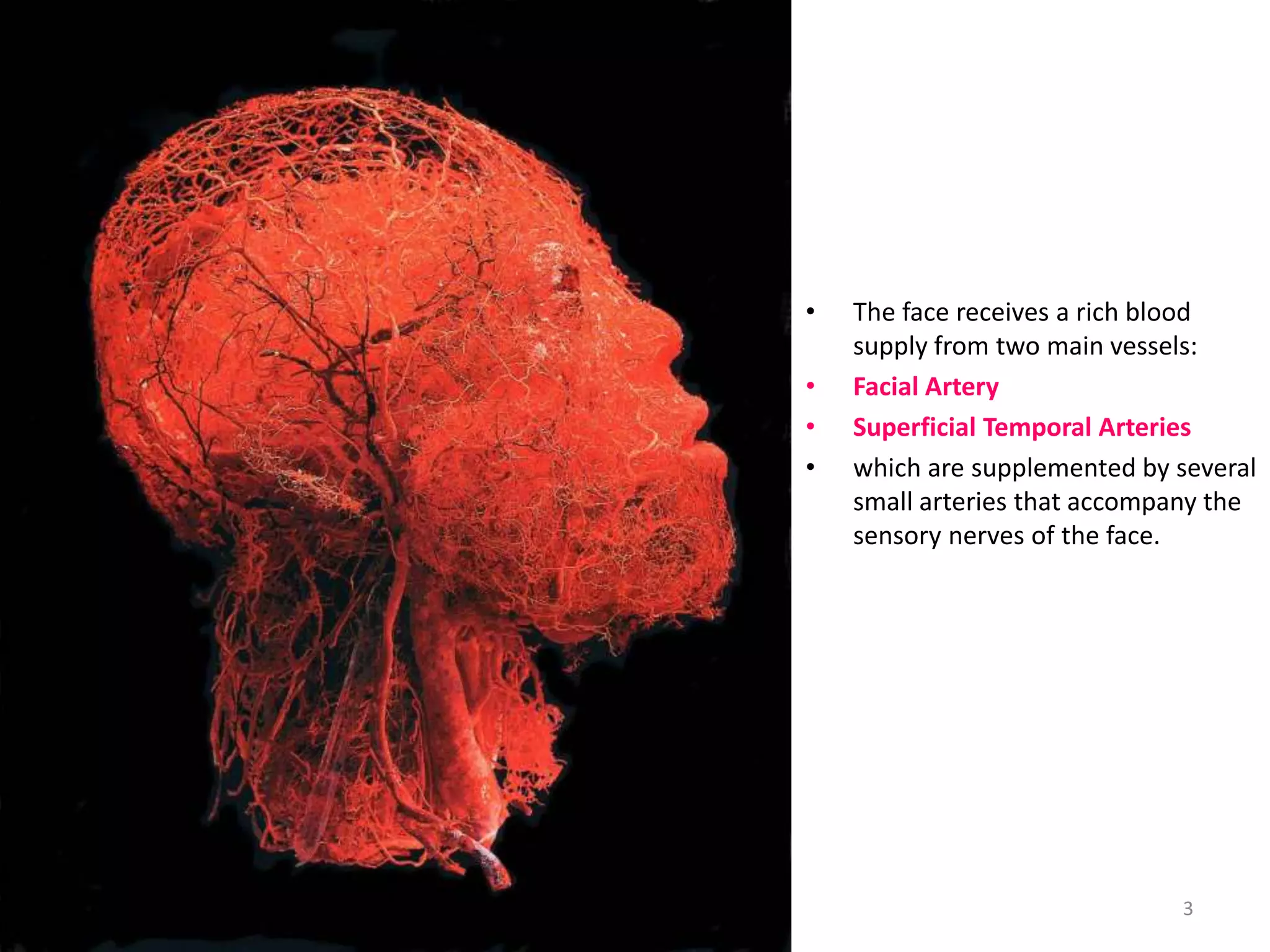 Blood supply of face | PPTX