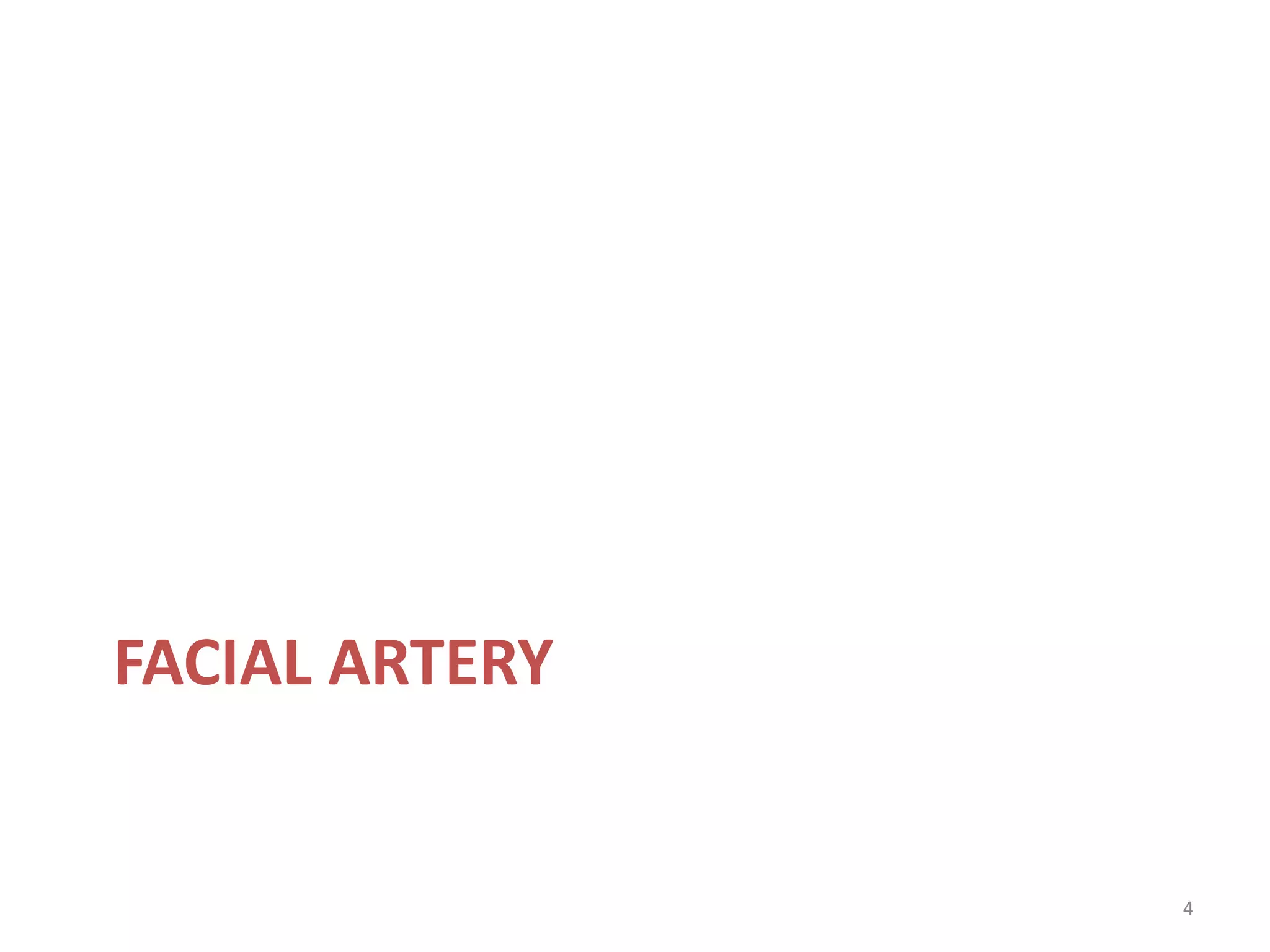 Blood supply of face | PPTX