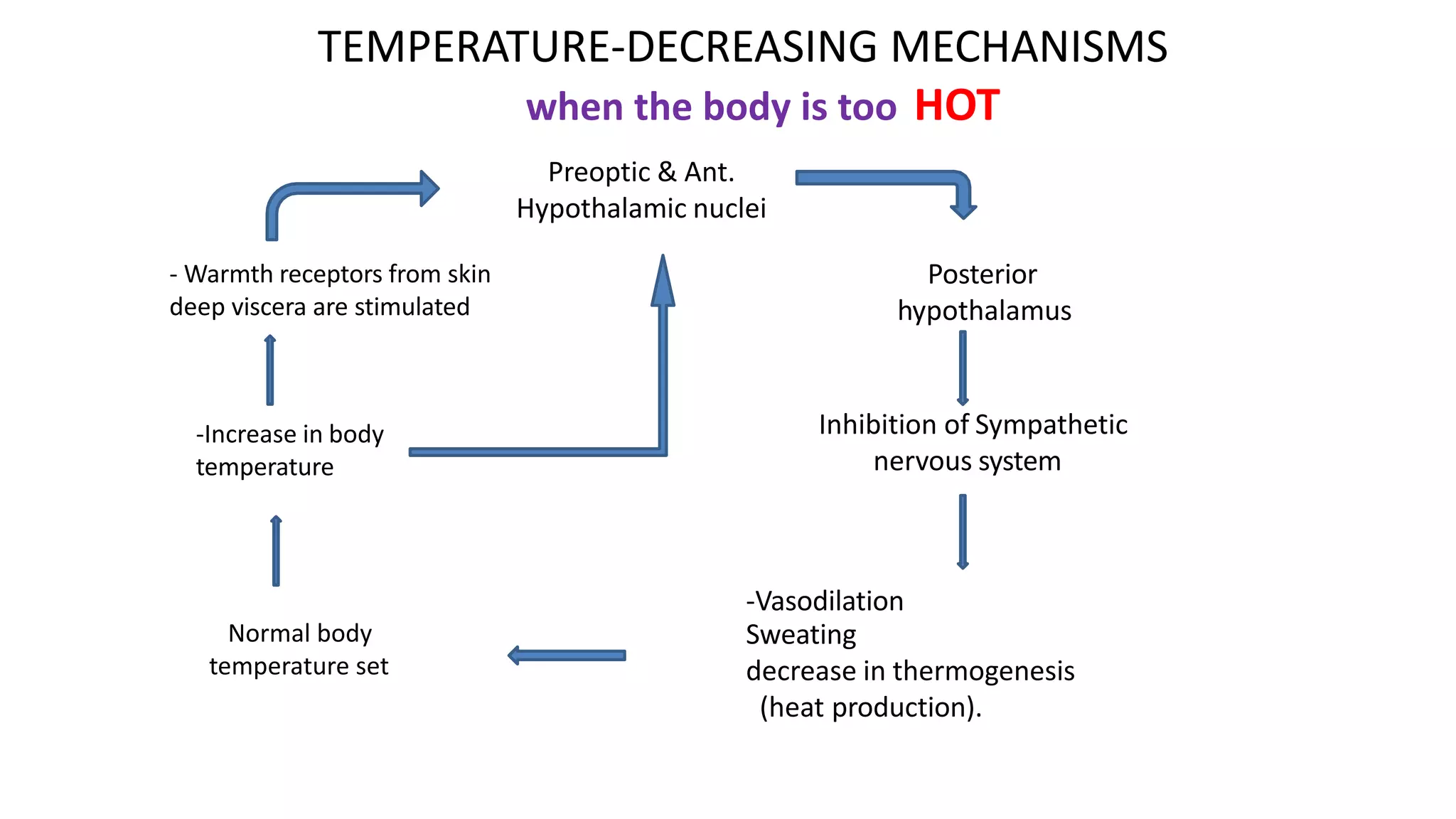 body temperature-mechanism-Medicine | PPT