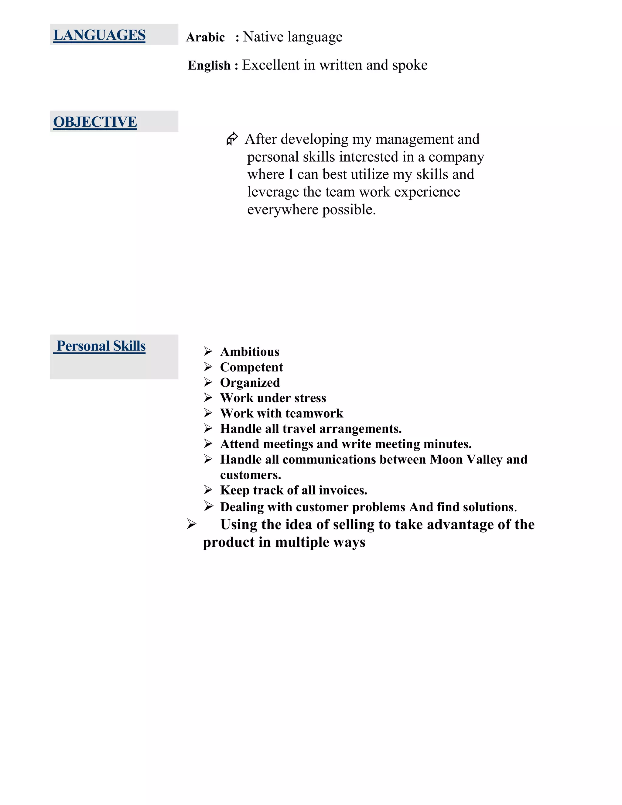 Muhammad Adel CV | PDF
