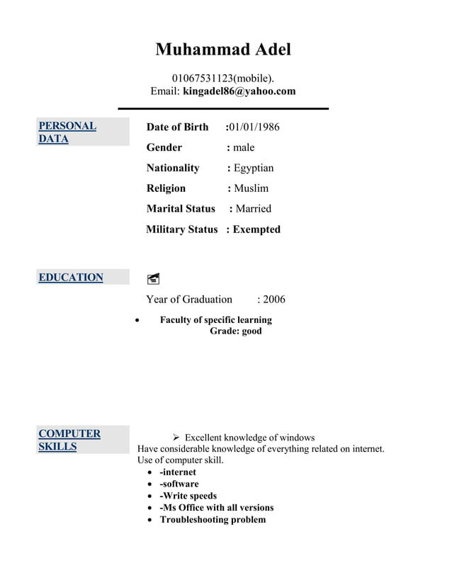 Muhammad Adel CV | PDF