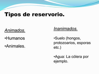 11 cadena epidemiologia | PPTX