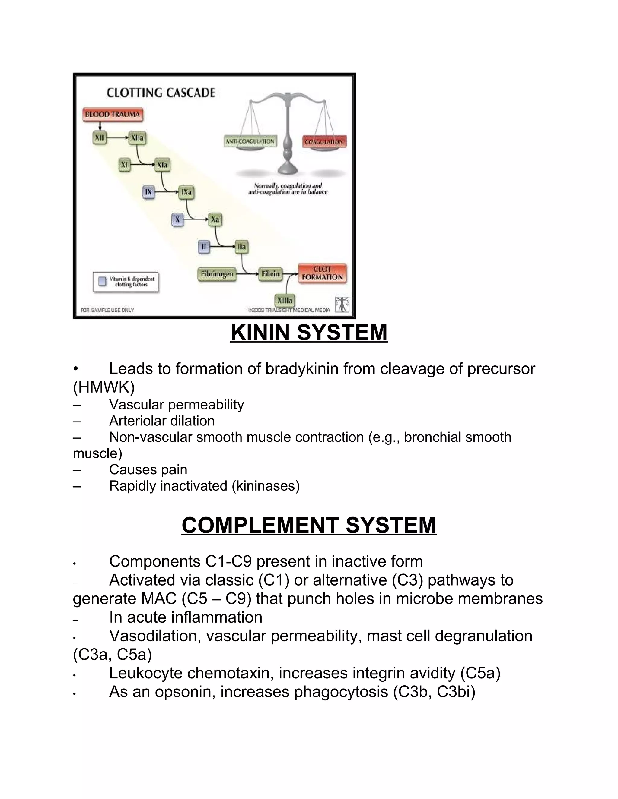 11 cellular & vascular events in acute inflammation | DOC