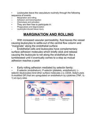 11 cellular & vascular events in acute inflammation | DOC