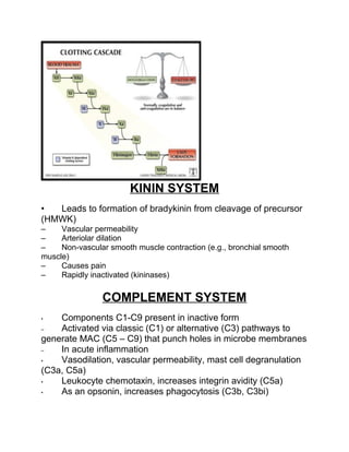 11 cellular & vascular events in acute inflammation | DOC