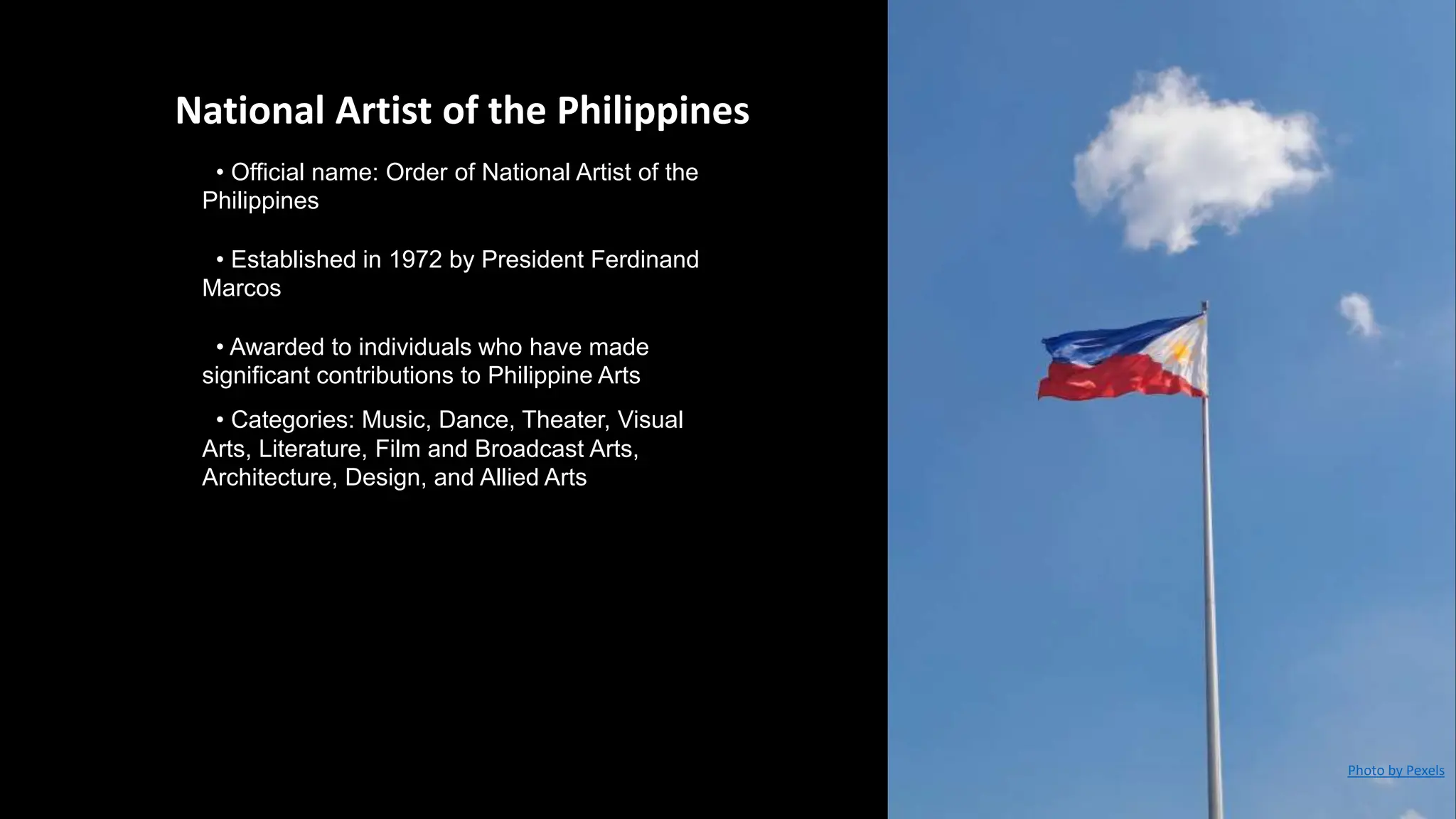 cpar ppt template design 11cf88ab96f85256.pptx