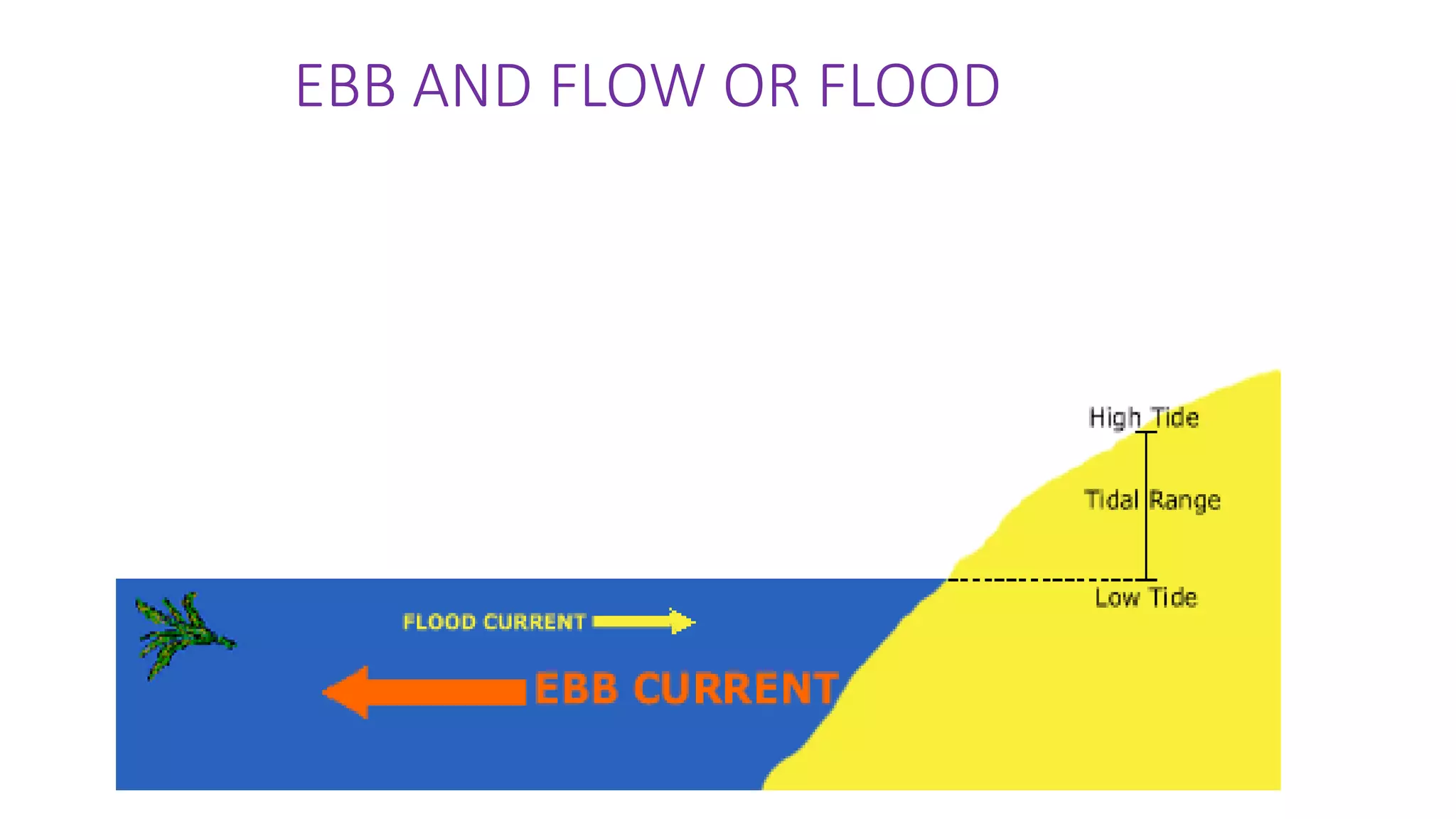 11 Chap 14 Type of Tides .pptx