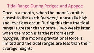11 Chap 14 Type of Tides .pptx