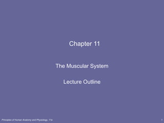 11 [chapter 11 the muscular system][11e] | PPT