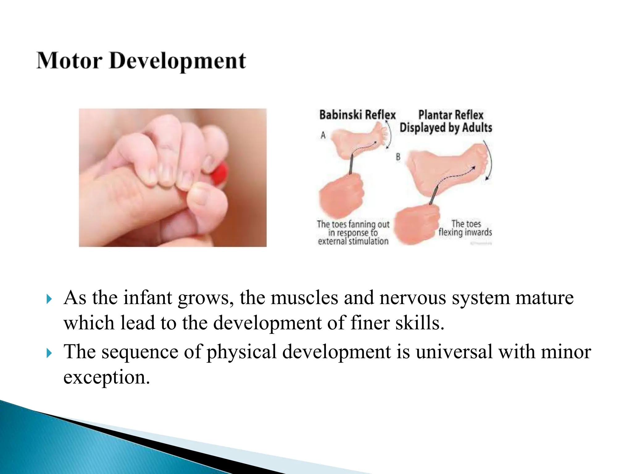 Psychology class 11_Chapter 4 - Development | PPTX