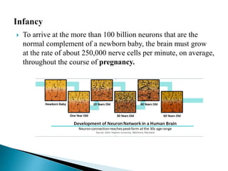 Psychology class 11_Chapter 4 - Development | PPTX
