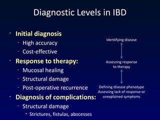 11 chiorean ibd | PDF