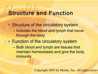 11 circulatory system | PPT
