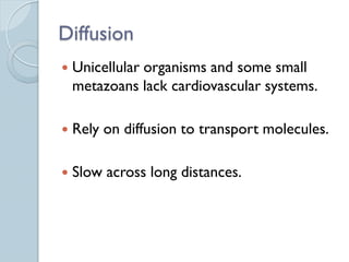 11 Circulatory Systems I PPT.pdf