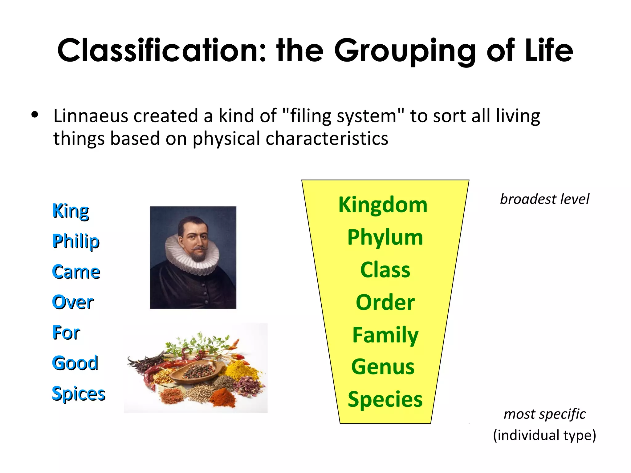 Classification | PPT