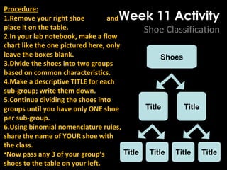 Classification | PPT