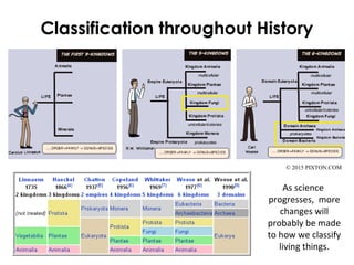Classification | PPT