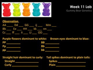 Classification | PPT