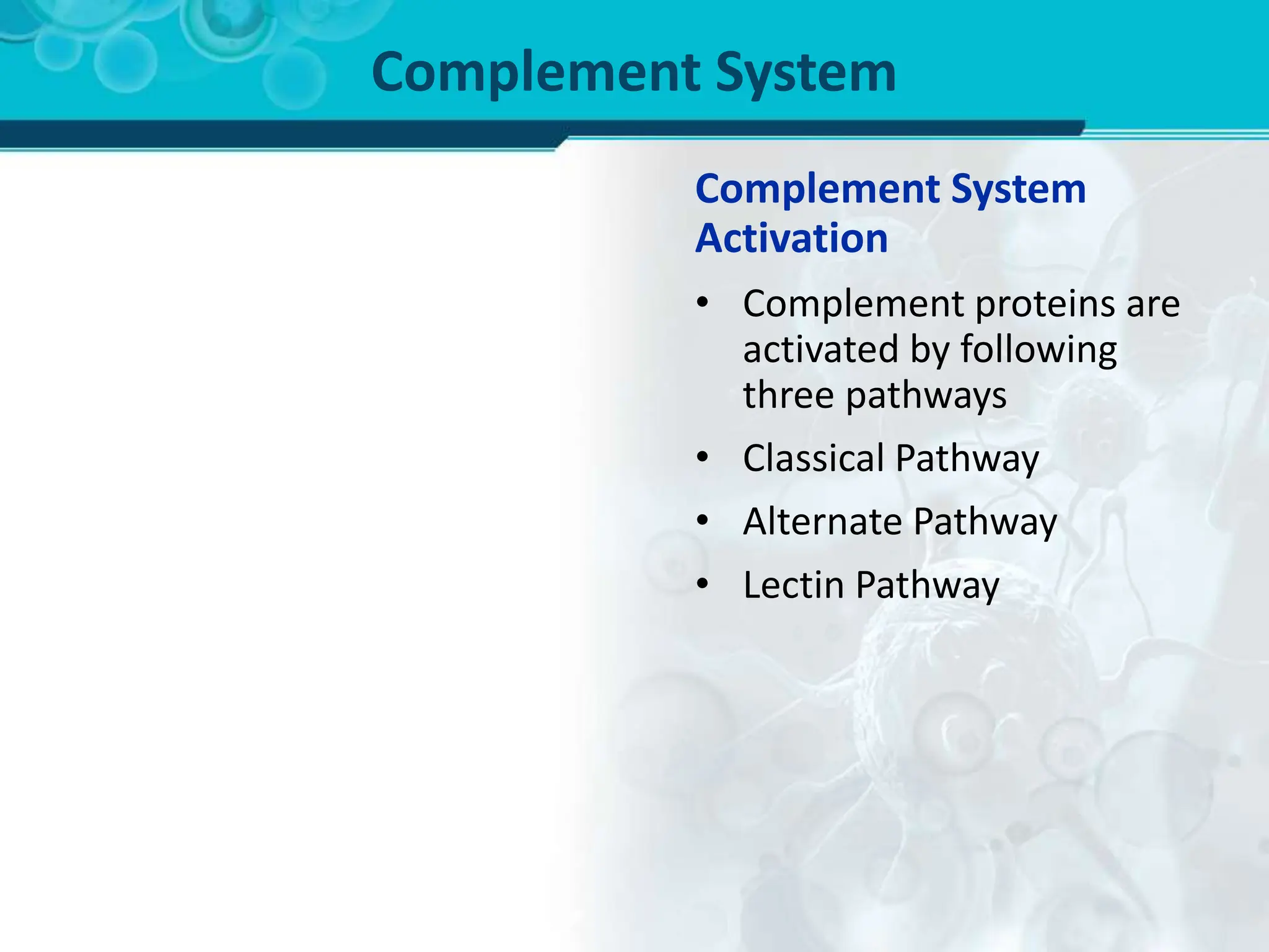 11_Complement System of immunology of human | PPT