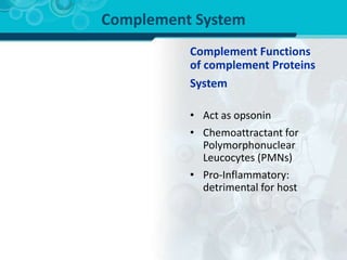 11_Complement System of immunology of human | PPT