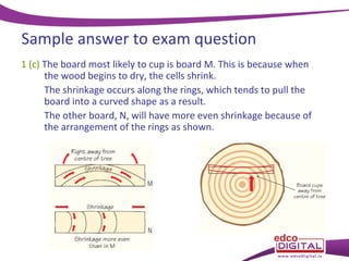 11 conversion of timber | PPT