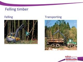 11 conversion of timber | PPT