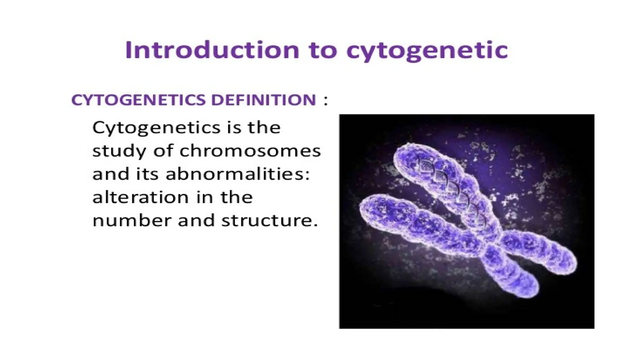 11)Cytogenetics-ppt. (1)(4).pptxhshshshhe | PPT
