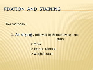 11 cyto staining.pptx stains used in cytology | PPTX
