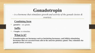11 D | PPTX | Endocrine and Metabolic Diseases | Diseases and Conditions